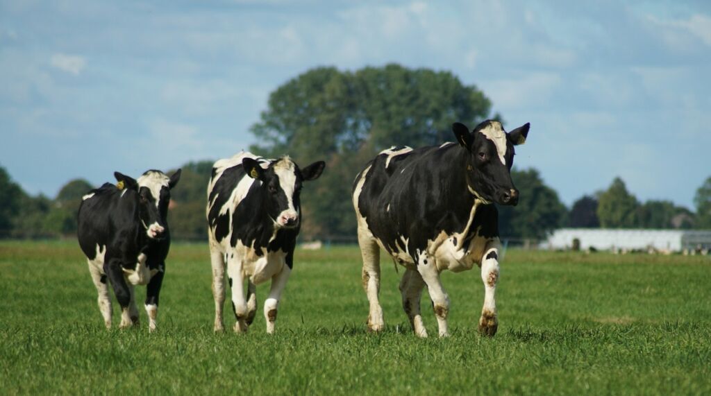 WFU’s Farm and Rural Lobby Day Set for Jan. 14 - Morning Ag Clips