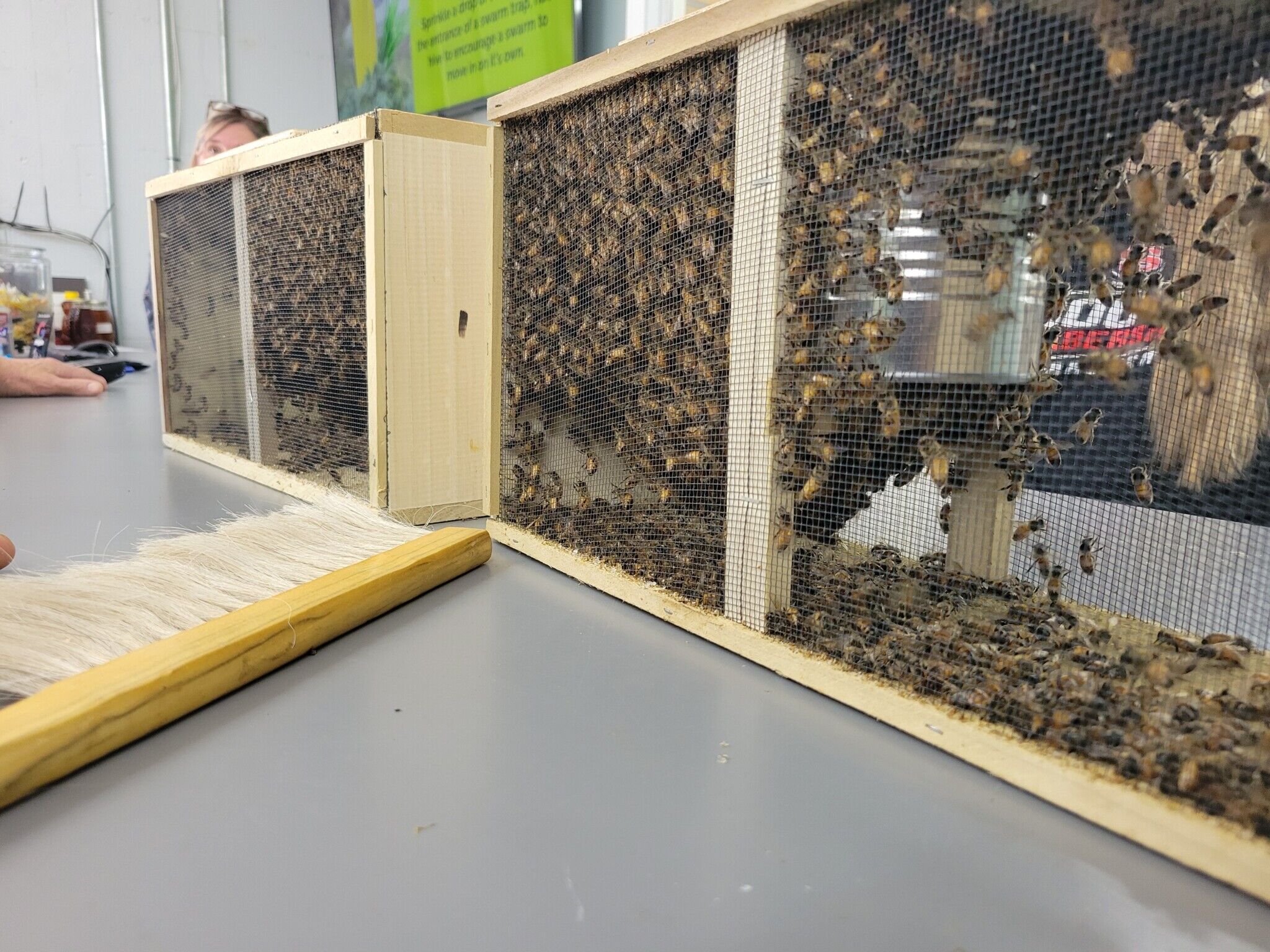 A Beginner’s Guide to Successful Beekeeping - Morning Ag Clips