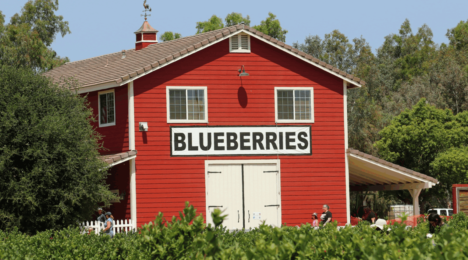 Using Music Videos to Promote Farm Events and Agritourism - Morning Ag ...