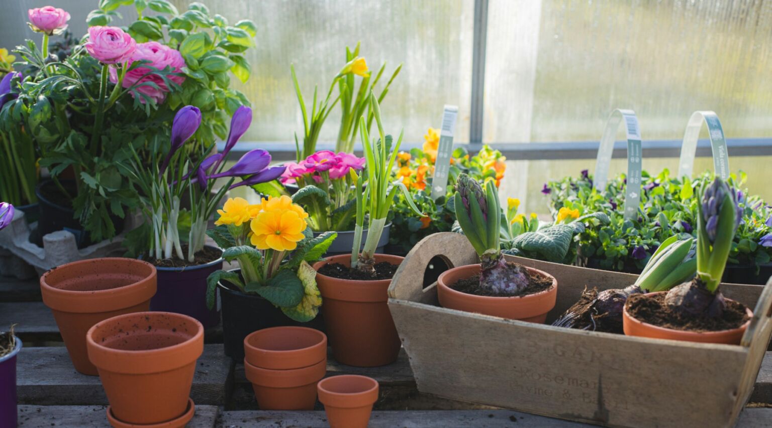 Connecticut Flower & Garden Show - Morning Ag Clips