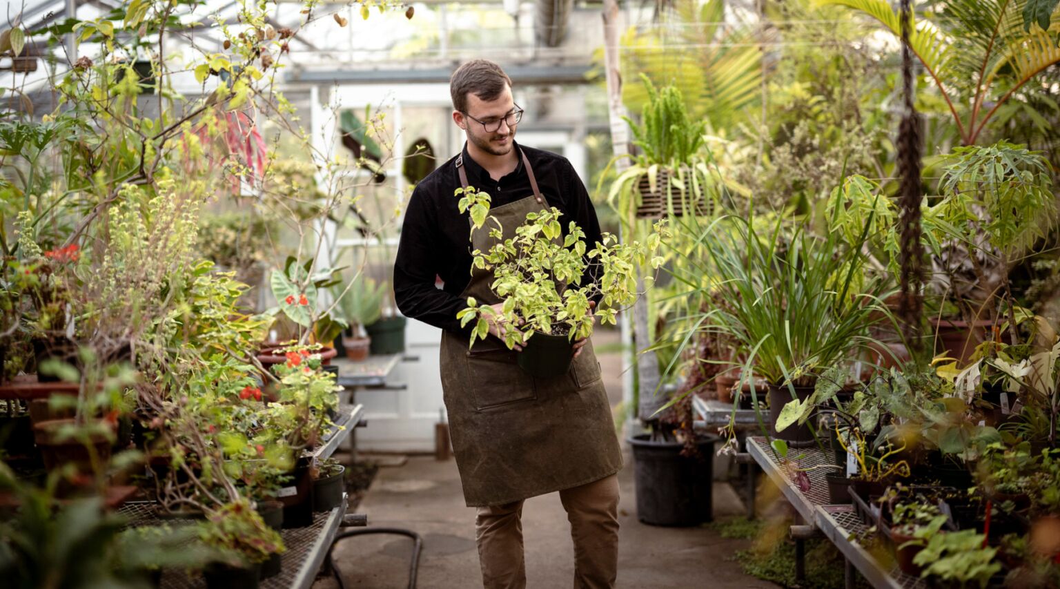 NYS 2026 Winter Greenhouse and Growers School - Morning Ag Clips